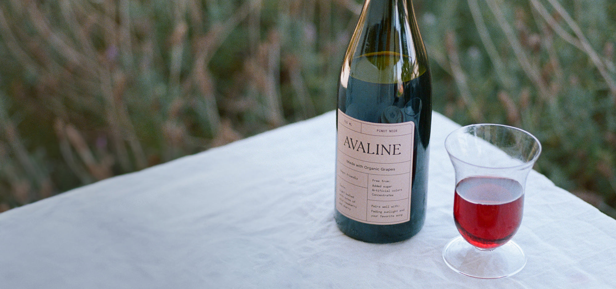 Best Organic Wine Brand | A New Standard in Wine | Avaline