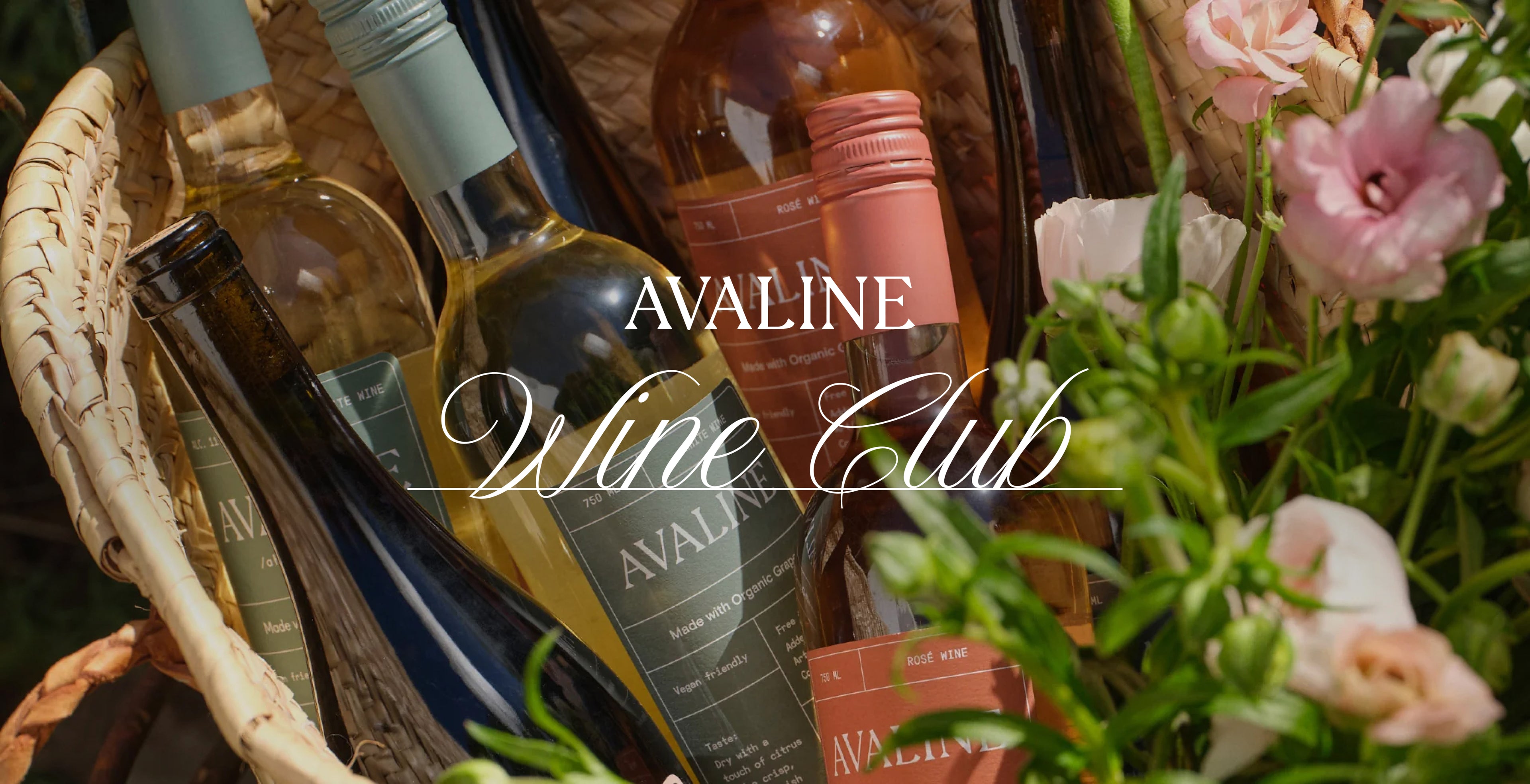 Best Organic Wine Subscription Box from Avaline