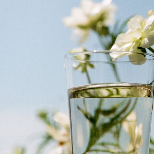 Best Organic Wine Club | Learn More About Avaline