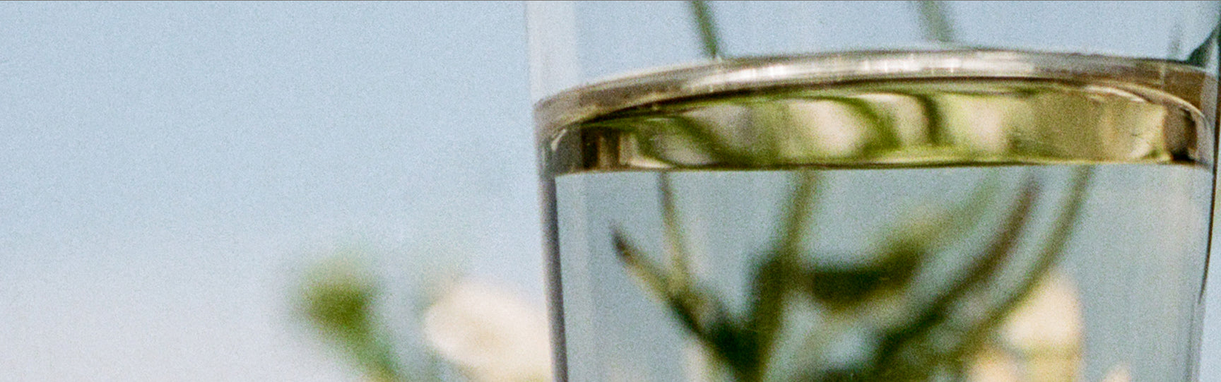 Best Organic Wine Club | Learn More About Avaline